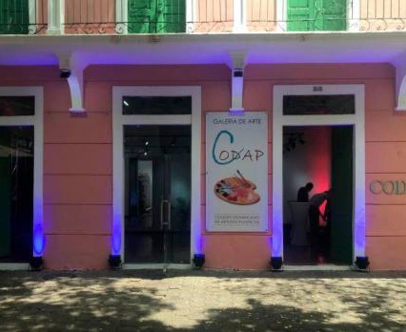 Elecciones del Codap entre agresiones y protestas