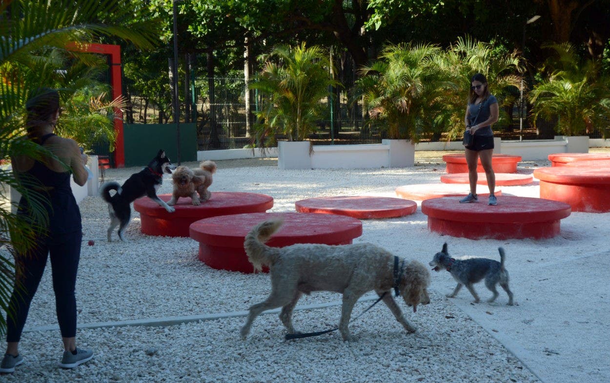 Alcaldía DN construye un parque para perros