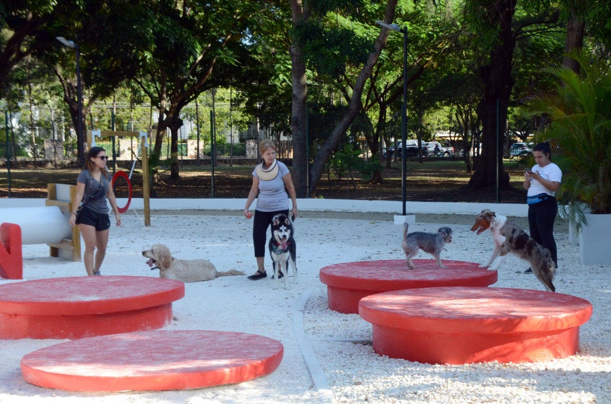 Alcaldía DN construye un parque para perros