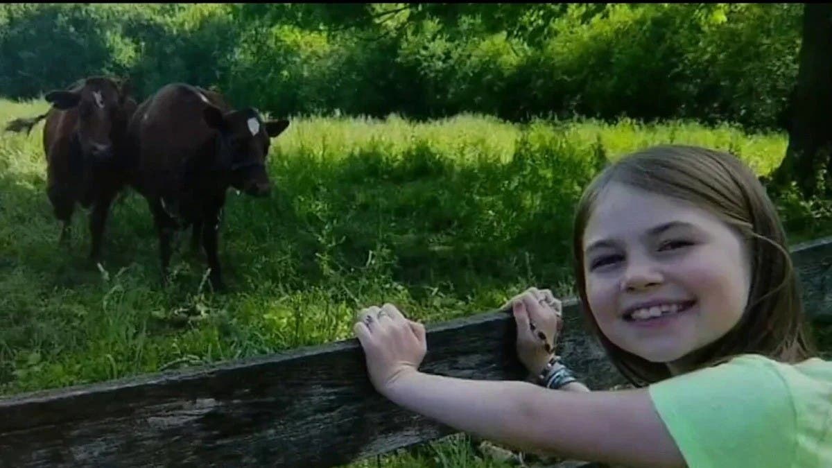 Encuentran niña secuestrada por su madre tras reconocerla en una serie ...